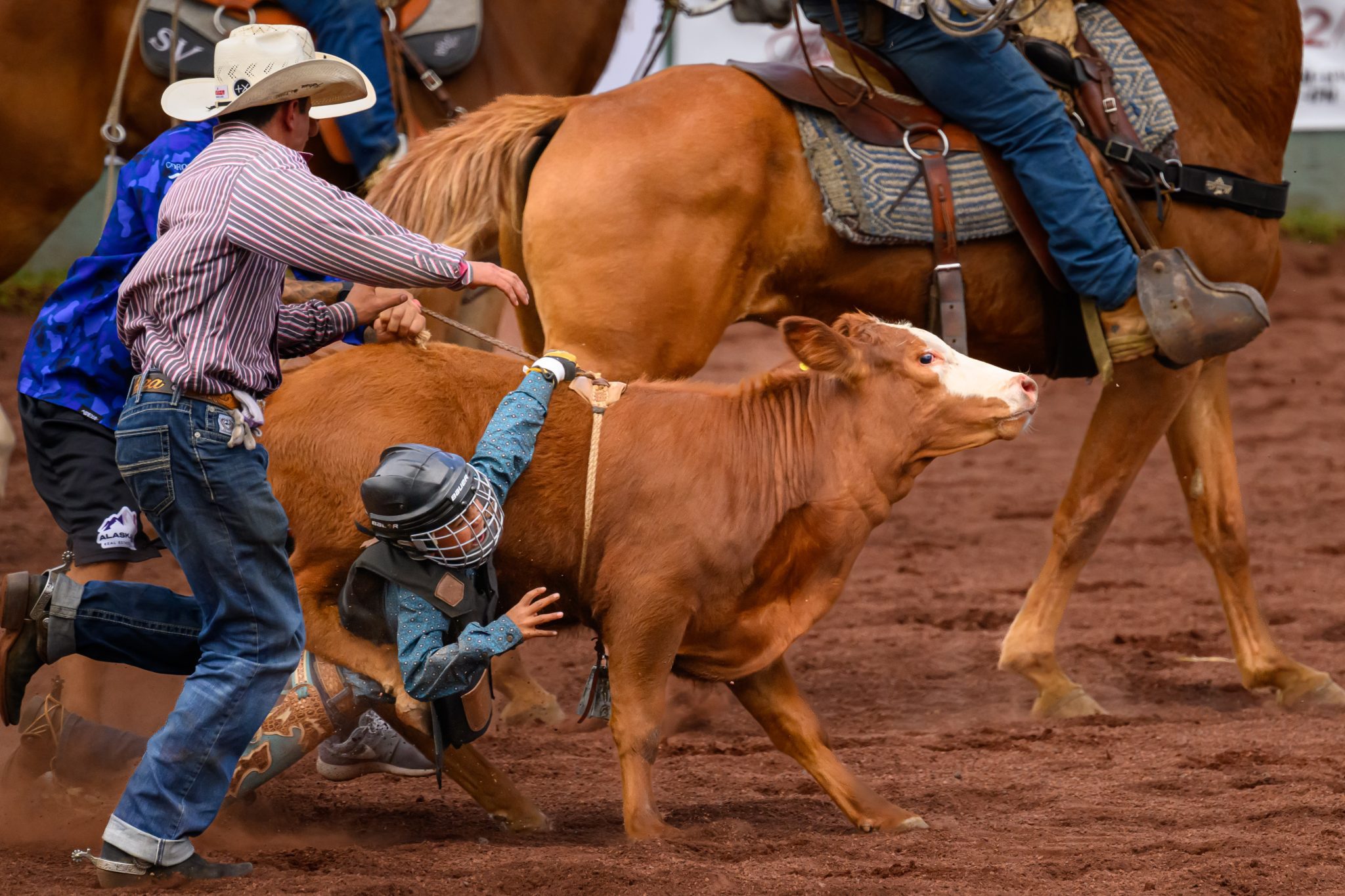 Capturing the Thrills of Rodeo: My Experience at the Panaewa Stampede ...